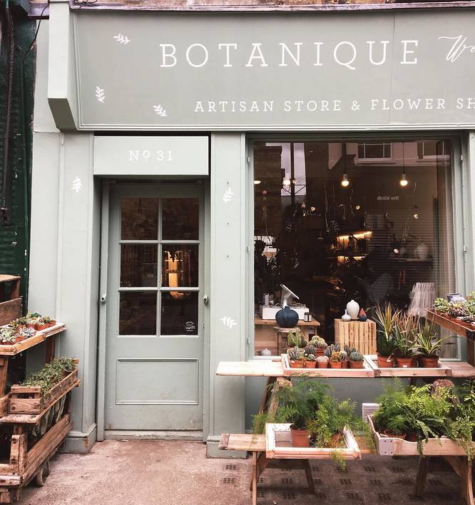 The Best Plant Shops In London To Feed Your Obsession