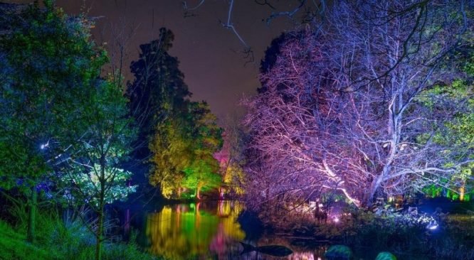 Light Festivals In London: Breathtaking Light Trails To Brighten Your ...