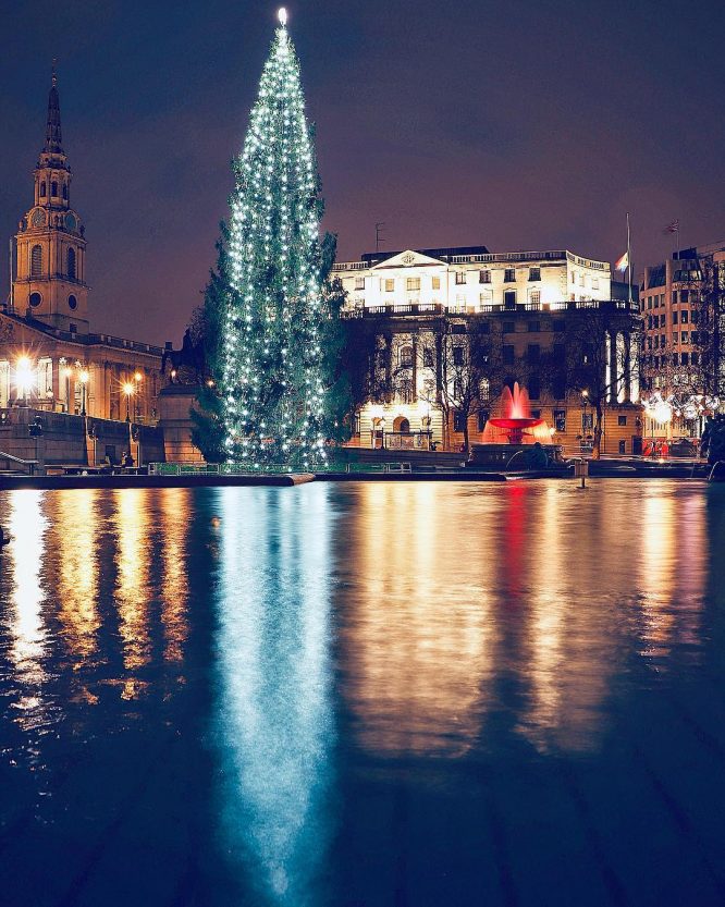 Trafalgar Square's Famous Christmas Tree Is Lighting Up London