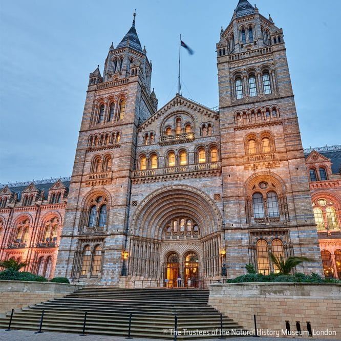 Natural History Museum Events And Upcoming Exhibits