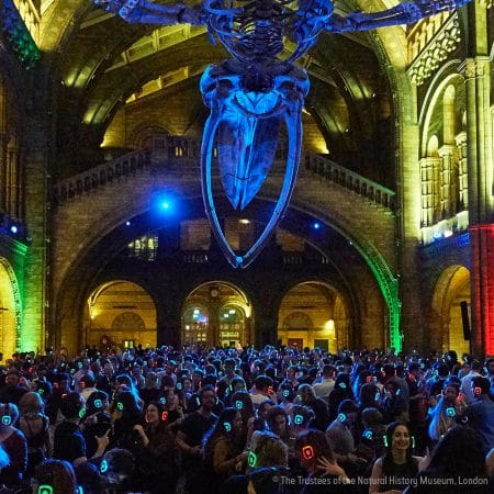 Natural History Museum Events And Upcoming Exhibits