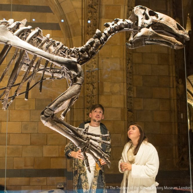 Natural History Museum Events And Upcoming Exhibits