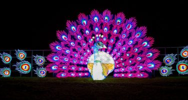 Light Festivals In London: Breathtaking Light Trails To Brighten Your ...