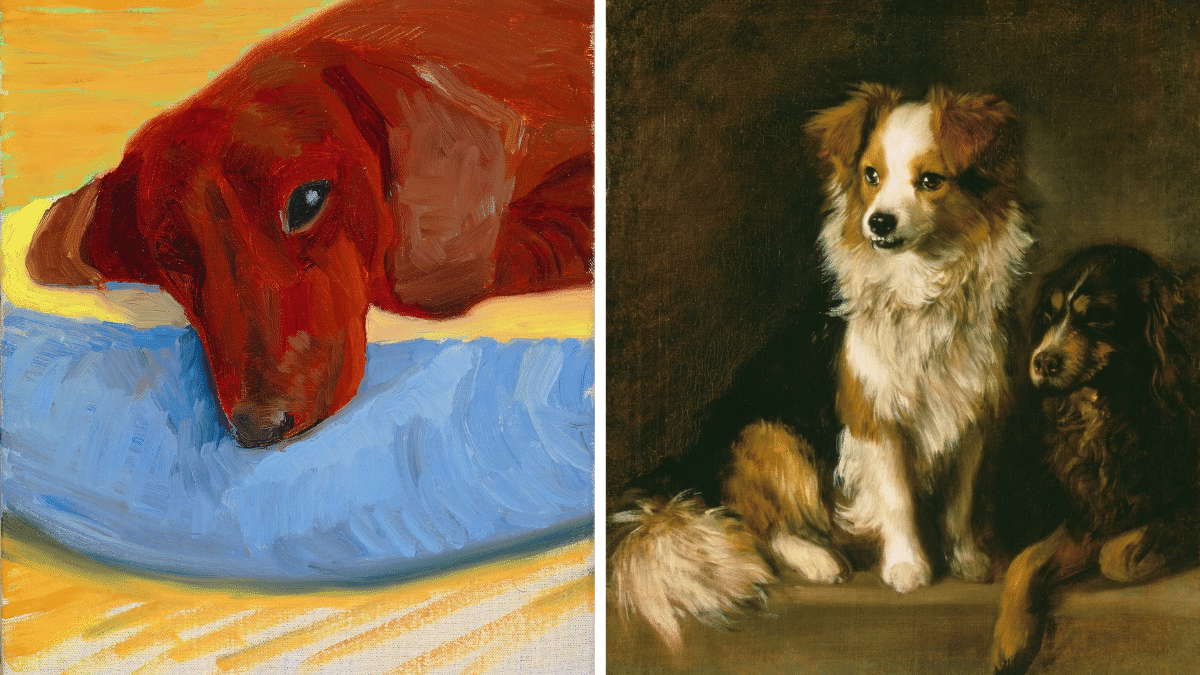 Portraits Of Dogs: An Art Exhibition Dedicated Entirely To Dogs