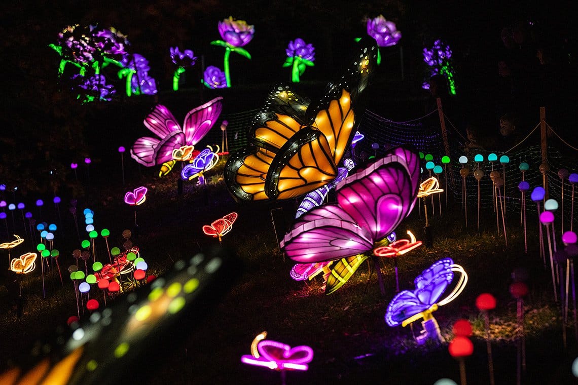 Lightopia: A Dazzling London Light & Lantern Trail - Secret London