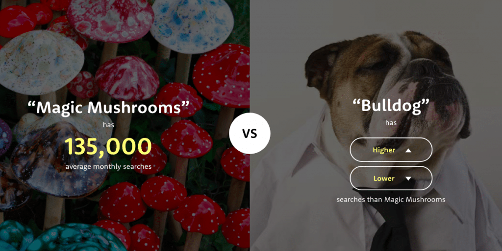 20 Weird And Wonderful Websites You Can Visit To Help Pass The Time