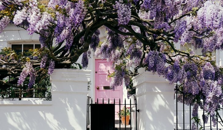 Secret London • Your Complete Guide To Things To Do In London