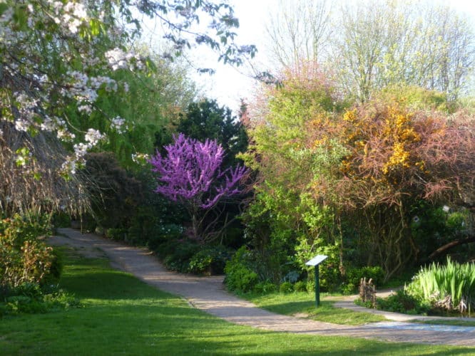 The Best Green Spaces You Won't Believe Are In London