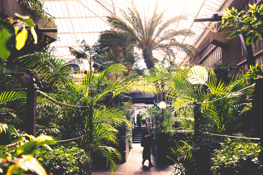 Barbican Conservatory: London's Beautiful Indoor Rainforest