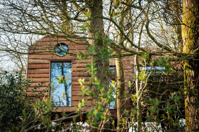 This Hidden Treehouse In Cumbria Is The Perfect Social-Distanced Getaway