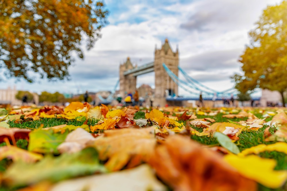Autumn Date Ideas In London: 18 Cosy And Romantic Ones