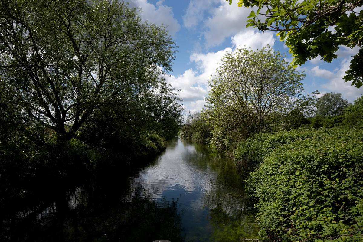 The Best Lakes In London For Waterside Strolls