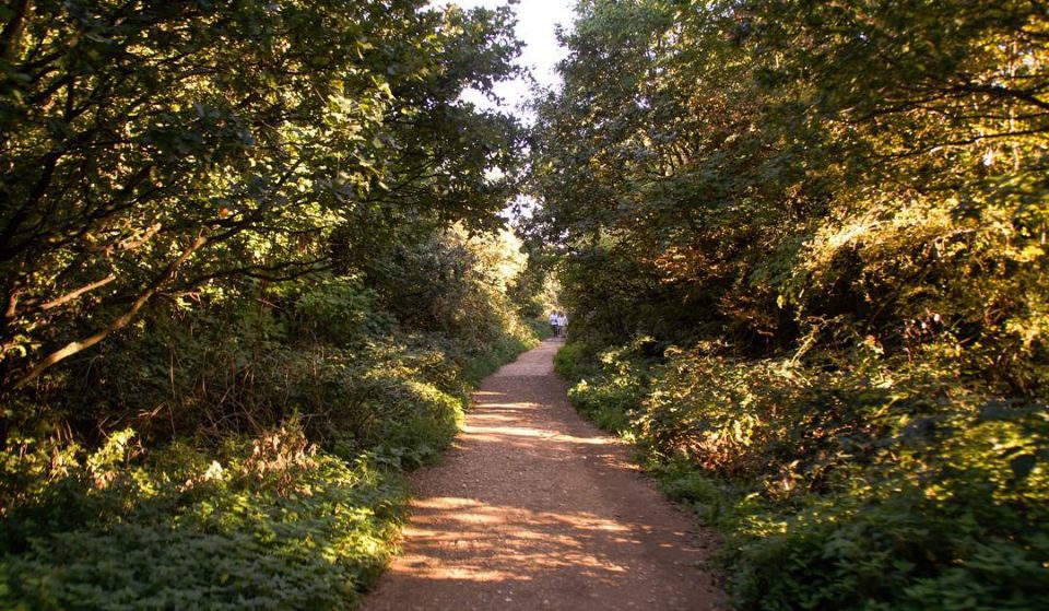 Natural beauty, exercise and wildlife all on London's doorstep