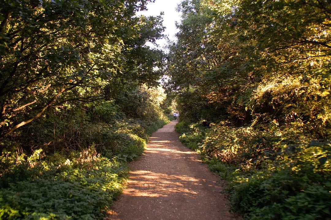 Best Running Routes In London To Kickstart Your Fitness Journey