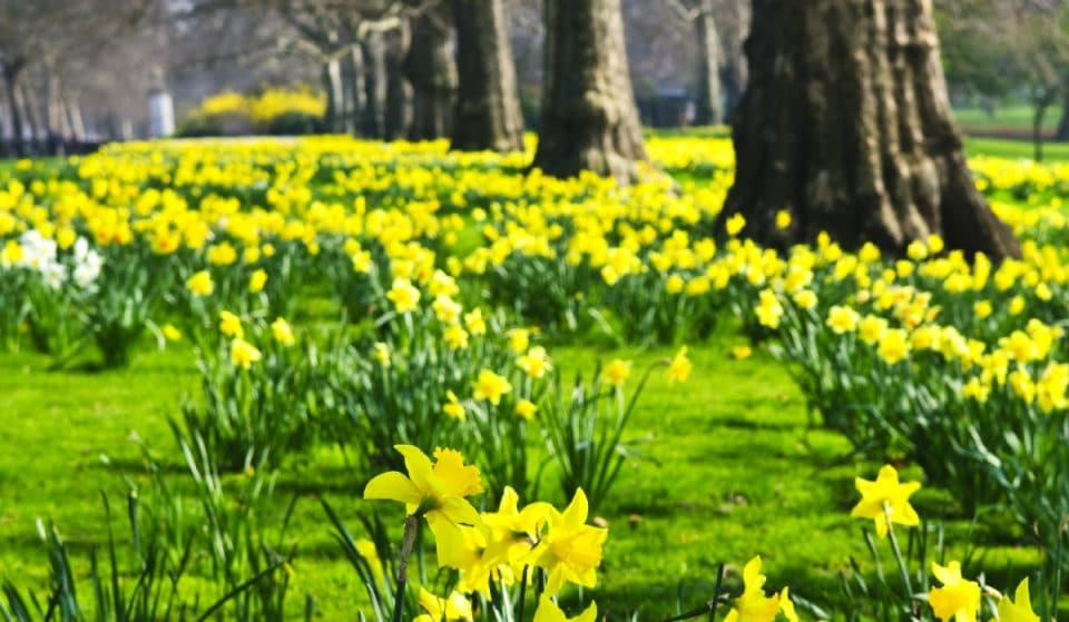 Natural beauty, exercise and wildlife all on London's doorstep