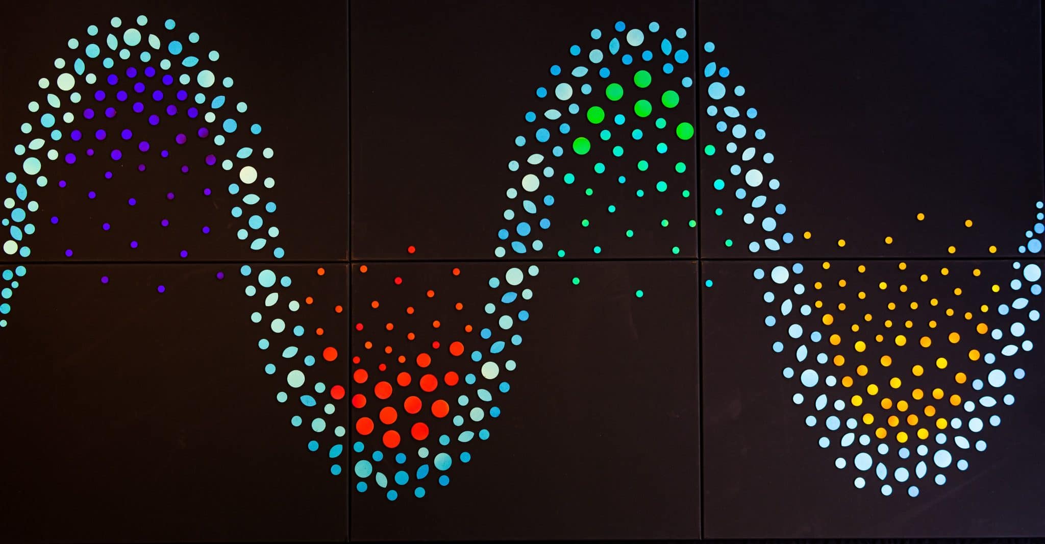 Kaleidoscopic Exhibition: 'Brightest Colours Ever' Coming To Kew Gardens