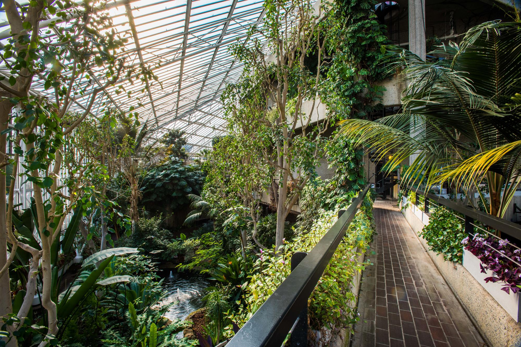 The Barbican Conservatory Is London's Beautiful Indoor Rainforest