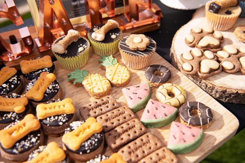 Pug, Dachshund And Cockapoo Cafés Are Popping Up In London Again