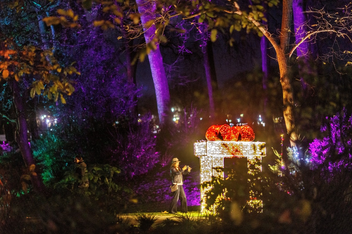Christmas Light Festivals In London To Brighten Up Your Winter