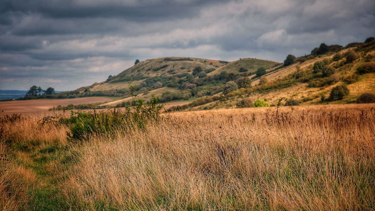 These Are Some Of The Most Beautiful Countryside Walks Near London ...