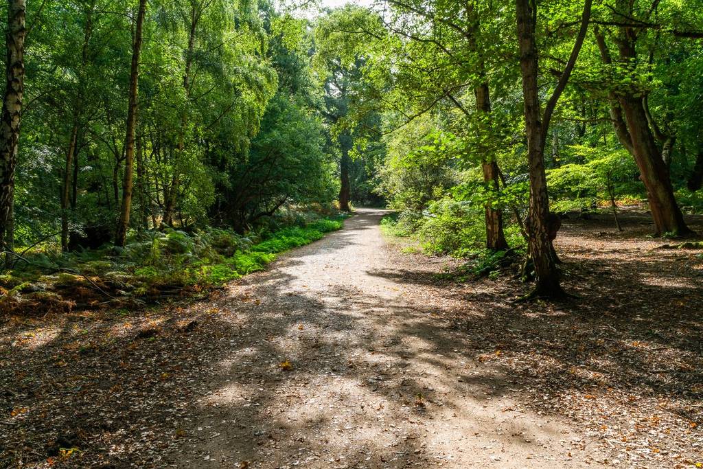 These Are Some Of The Most Beautiful Countryside Walks Near London ...