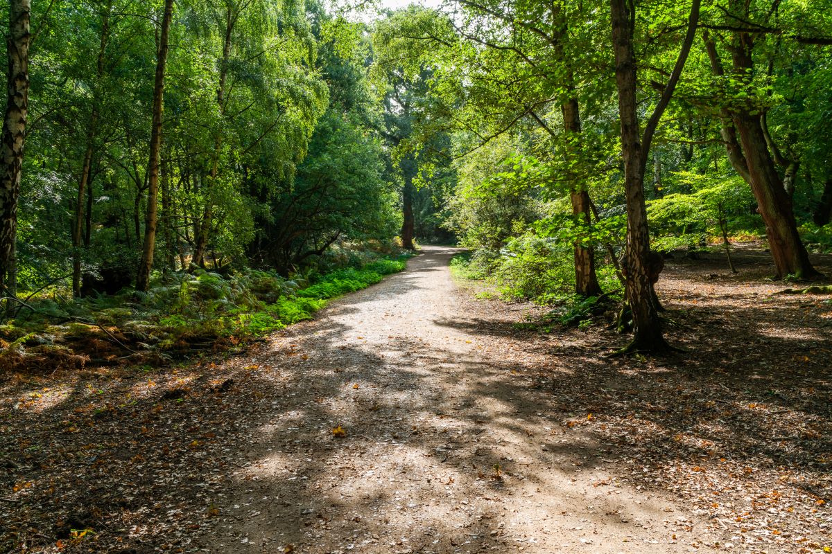 Here Are The Best Country Walks That Are Close To London