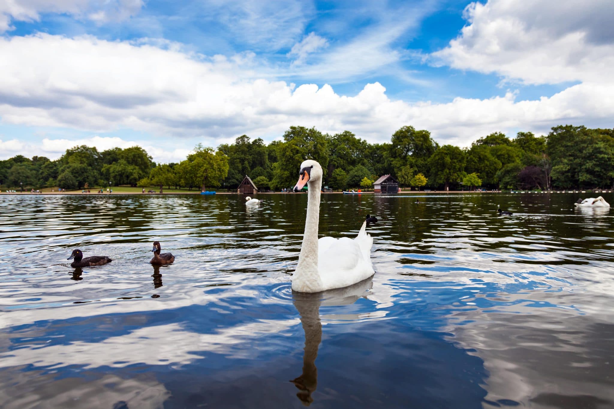 Sadiq Khan Reveals New Plans For An Ambitious Rewilding Of Hyde Park