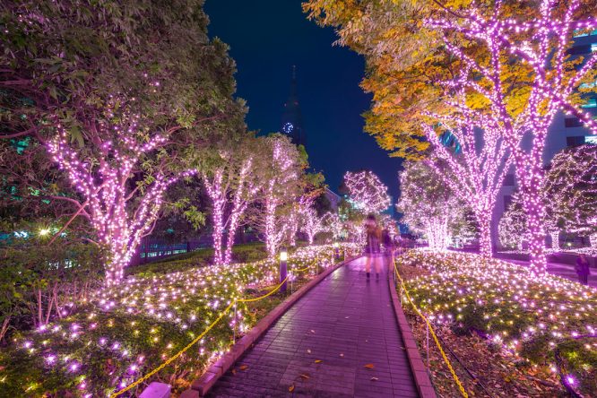 Nature Illuminated Is Coming To Enchant London - Secret London