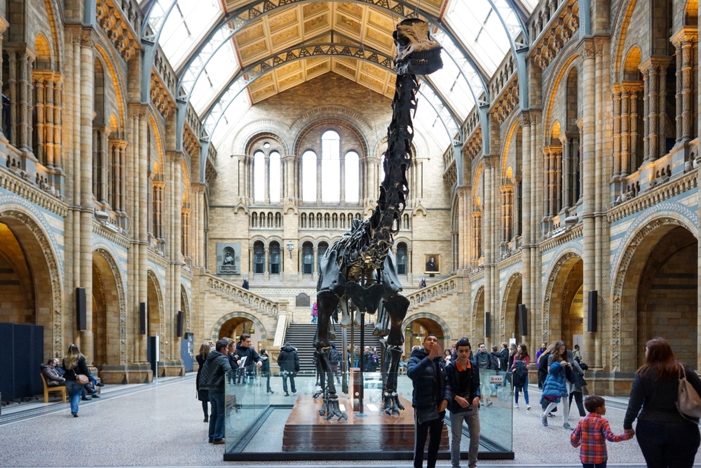 Natural History Museum Guide: Exhibitions And Visitor Info