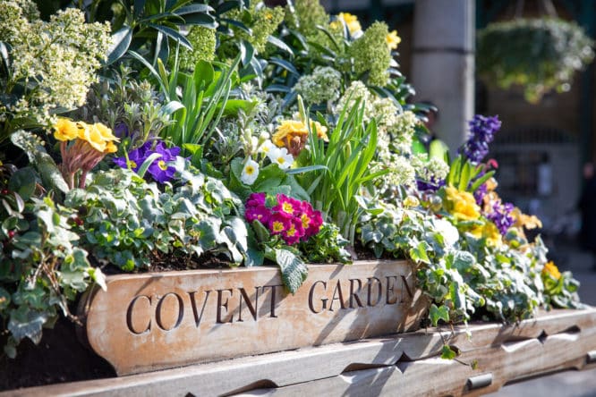 London's Peter Rabbit Easter Adventure Is Finishing Very Soon