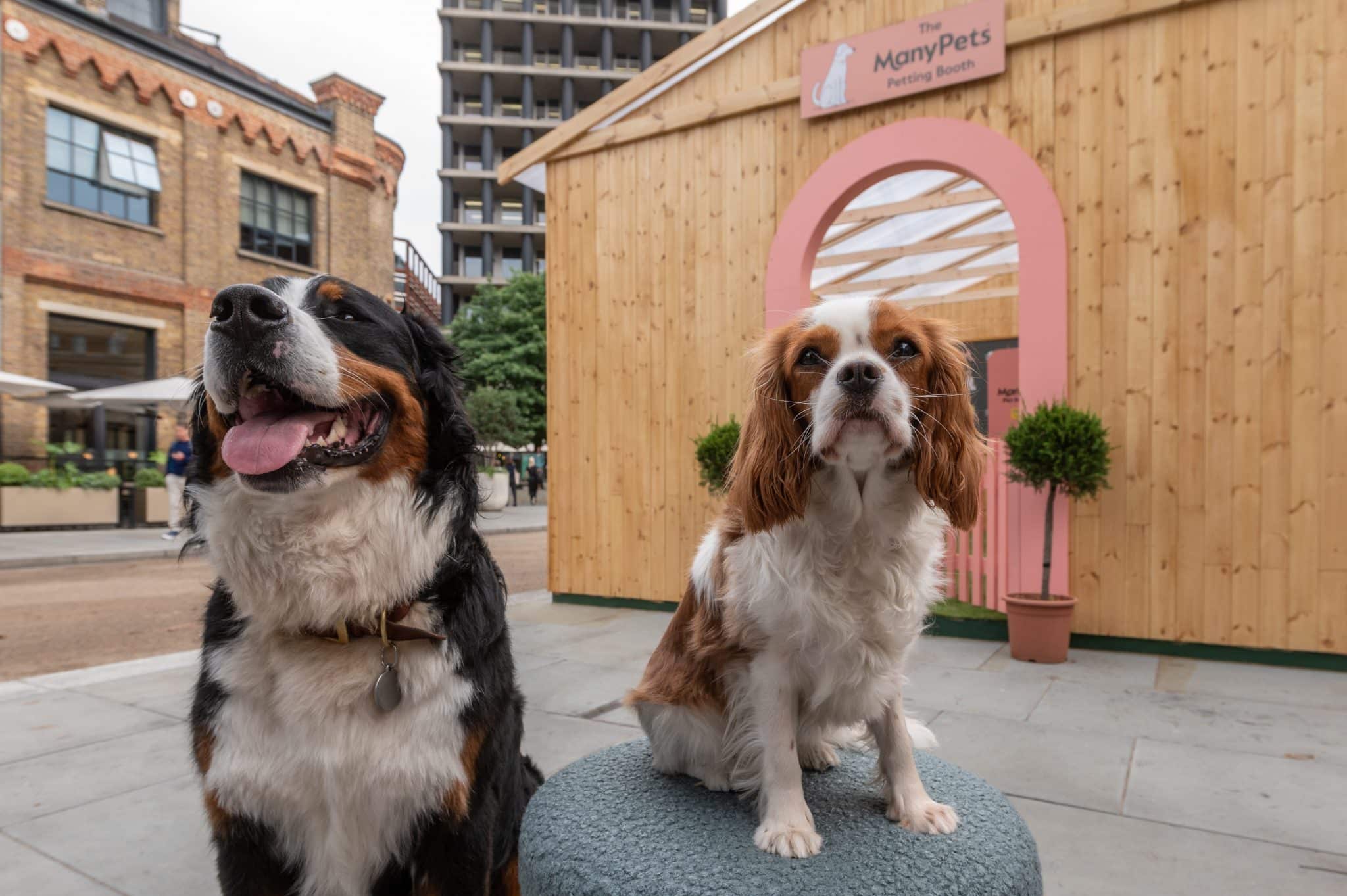 A Pop-Up Dog Petting Booth Is Set Up At King's Cross Today