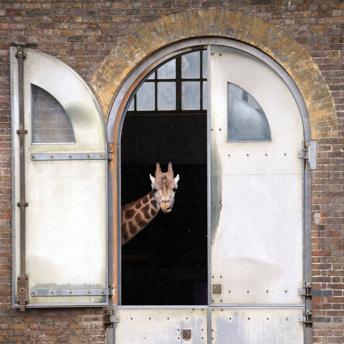The Very Best Things To Do In Camden