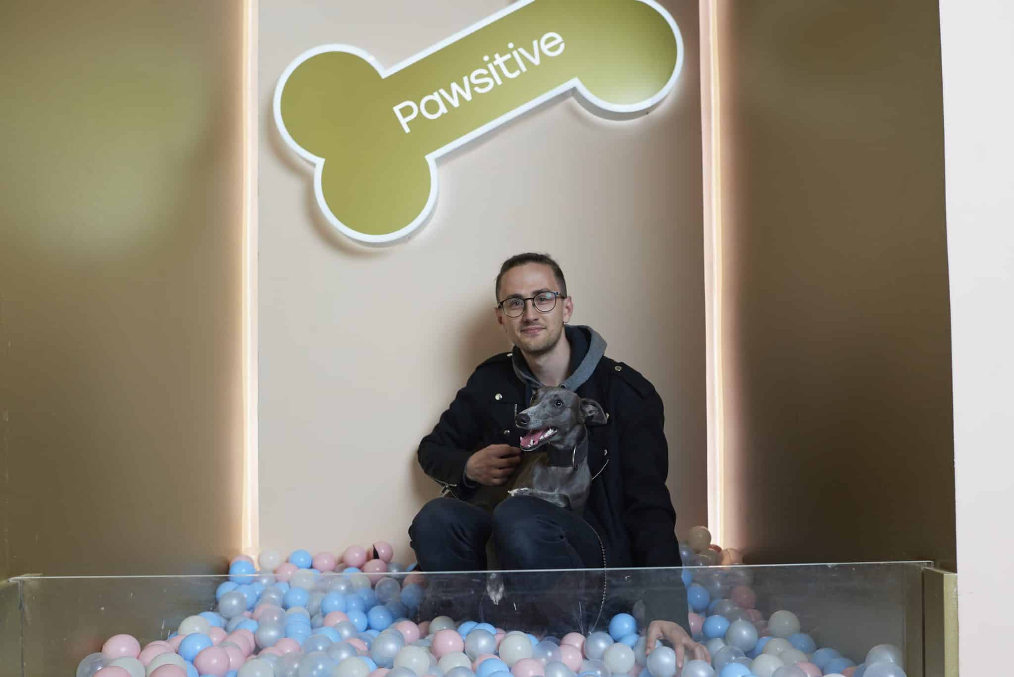 Pawsitive Café: The UK's First Christmas Afternoon Tea For Dogs