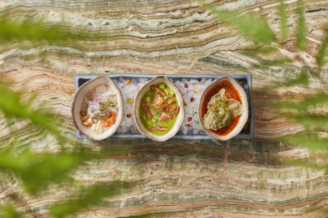 COYA's Soul Grandioso Brunch Makes Nikkei Cuisine Accessible