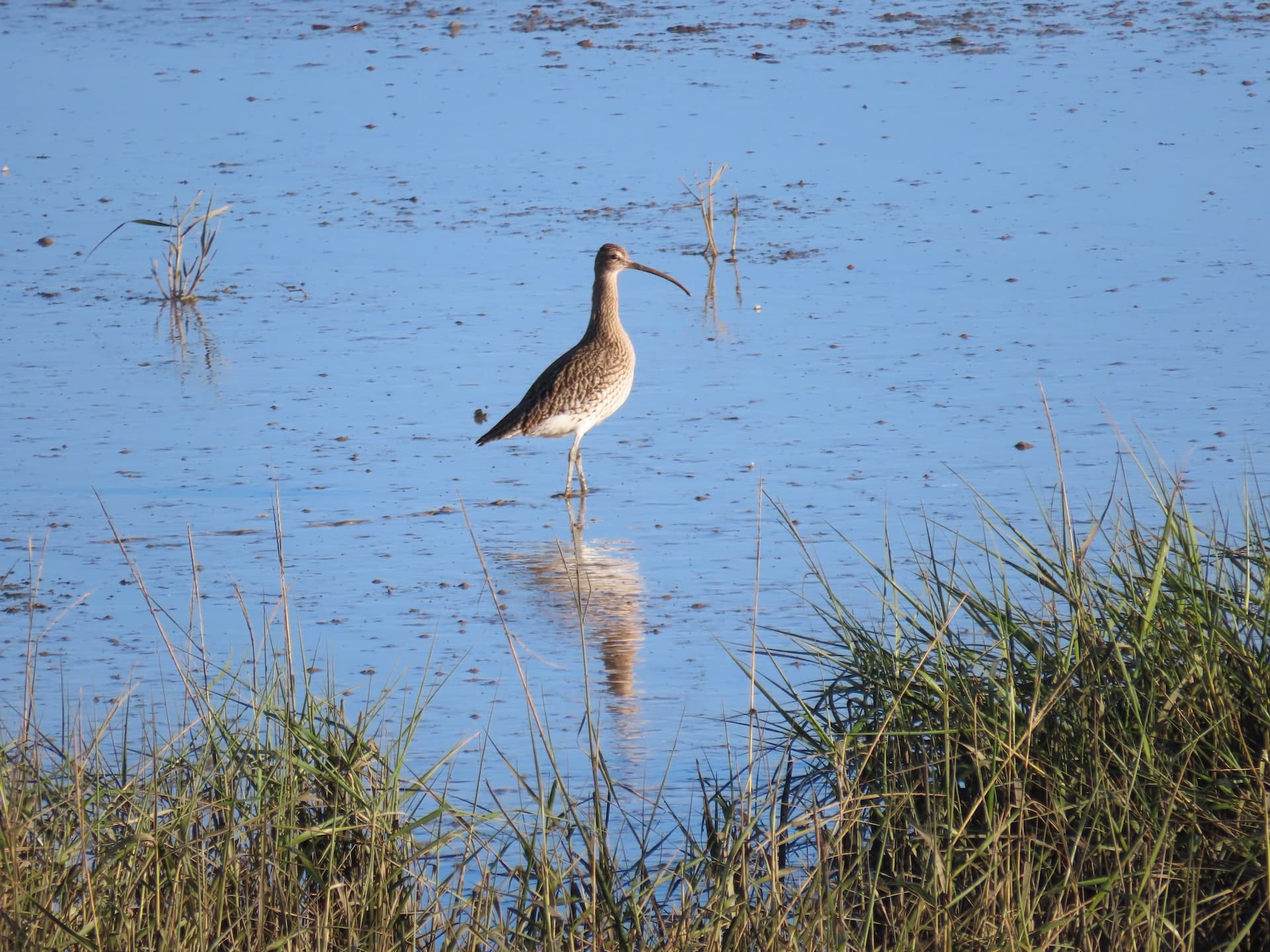 Wildlife In London: 10 Of The Best Places To Spot It In Town