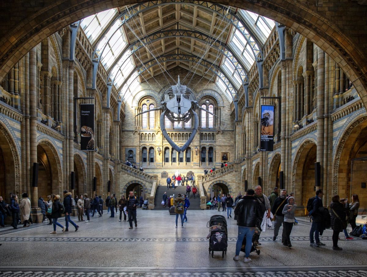 Natural History Museum Named Most-Visited London Attraction In 2022