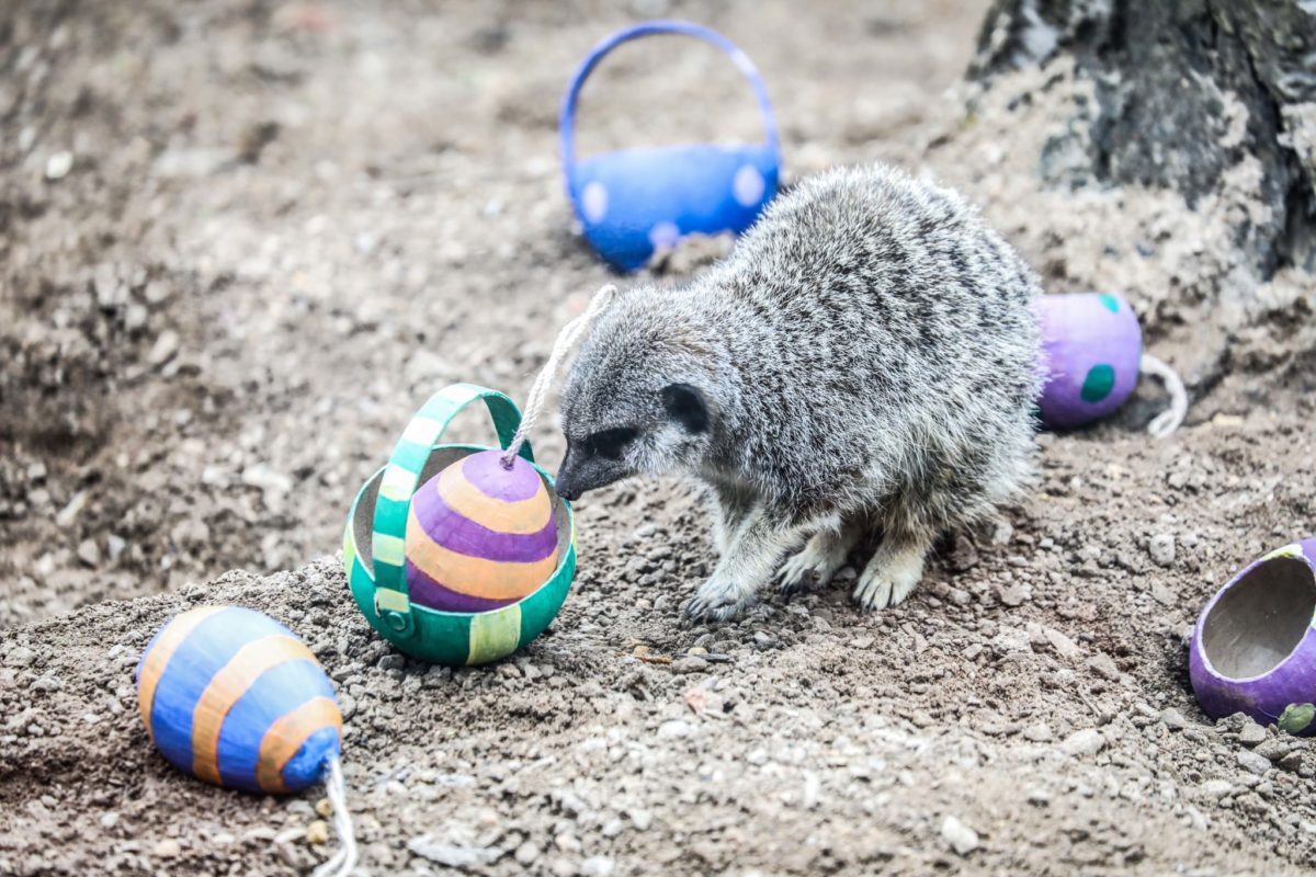 Five Easter Traditions And Where To Experience Them In London