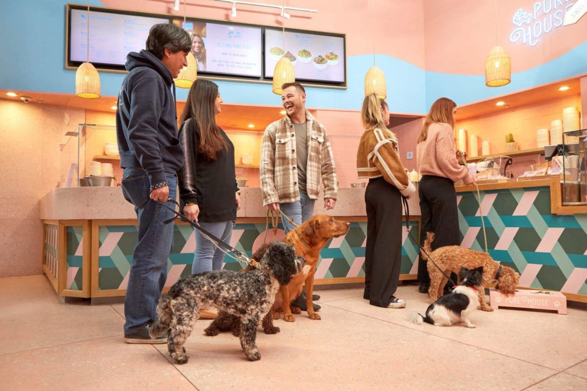 Poke House Is Hosting A Paw-fect Bottomless Brunch For Dogs
