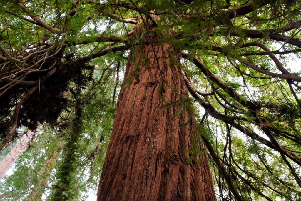 Kew Gardens Are Back With Their Wellbeing Sessions To Help You Unwind