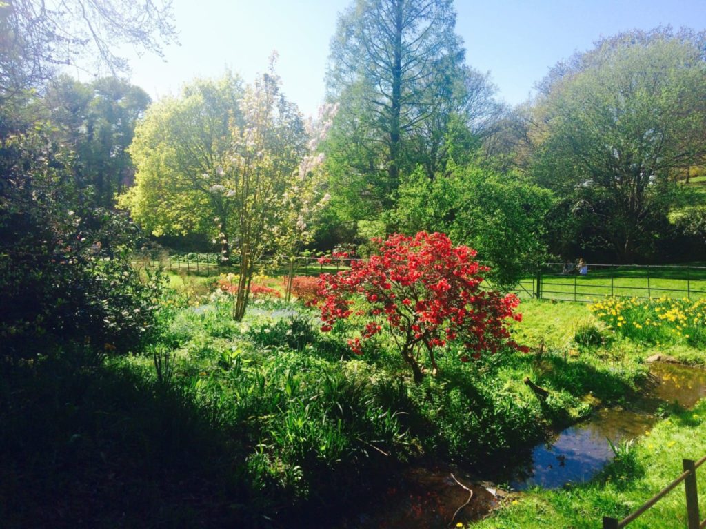 The Best Things To Do In Wimbledon