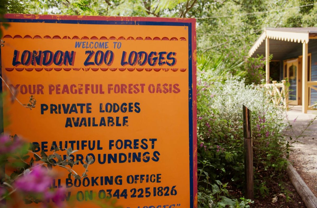You Can Have A Sleepover Inside A Cosy Lodge At London Zoo