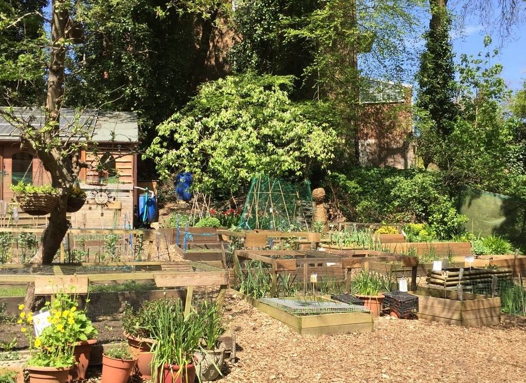 There's A Beautiful Cabin Café Hidden Away In Highgate Woods