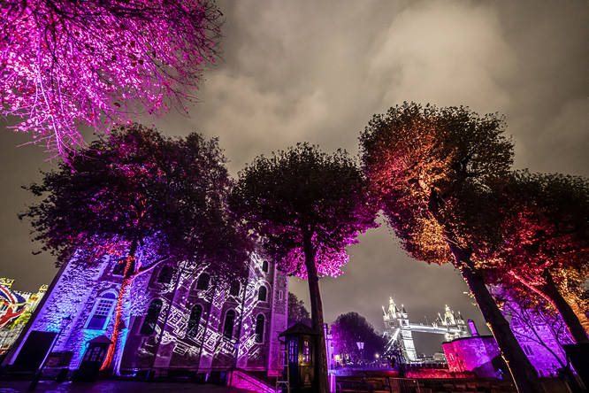 A Royal-Themed Light Show Has Taken Over The Tower Of London