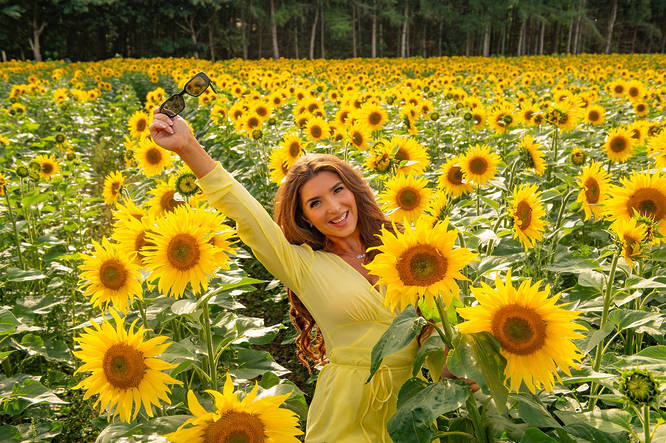A Huge Tulip Field Has Opened Less Than An Hour From London