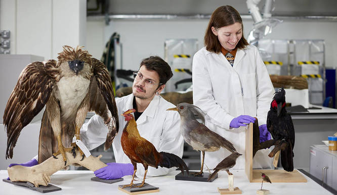 This Exhibition Celebrates The World's Weird And Wonderful Birds