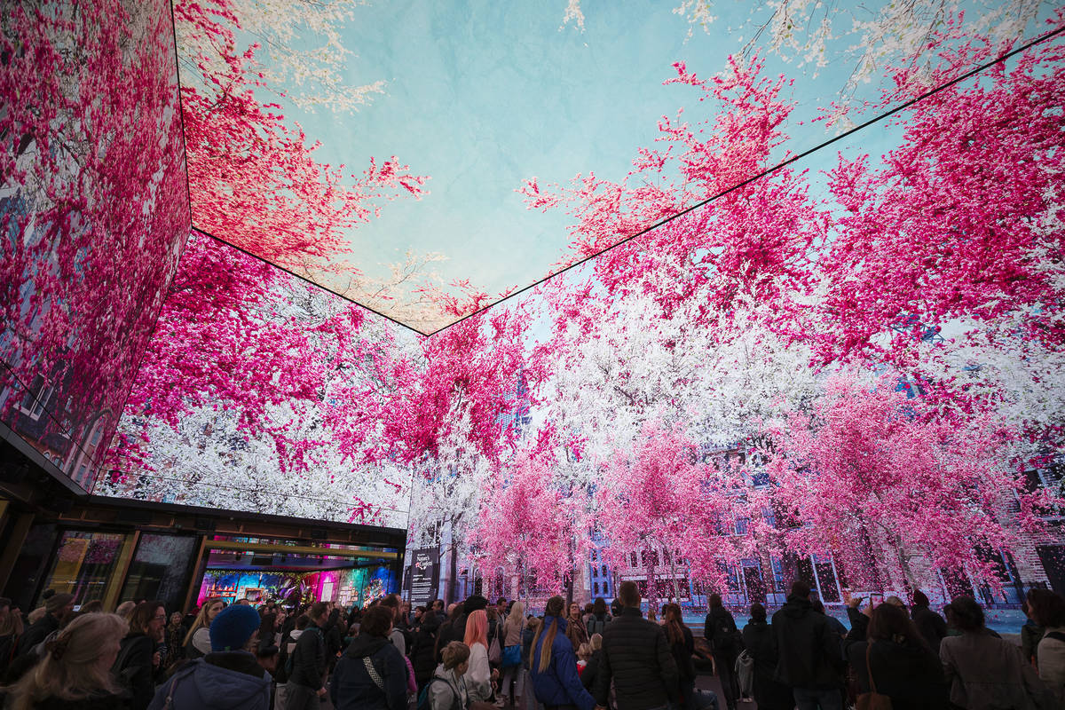 London's Immersive Blossom Experience Closes This Weekend