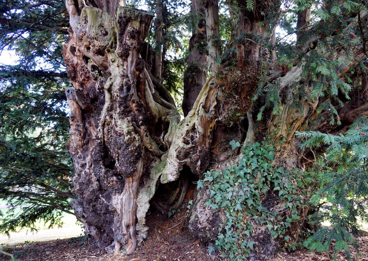 These Are Some Extraordinary Places That You Won't Believe Are In ...