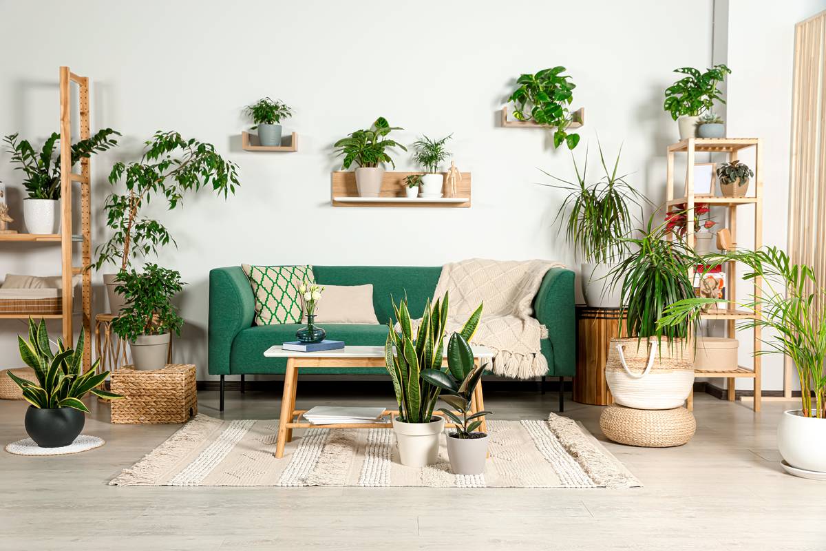 The Best Indestructible Indoor Plants To Invest In