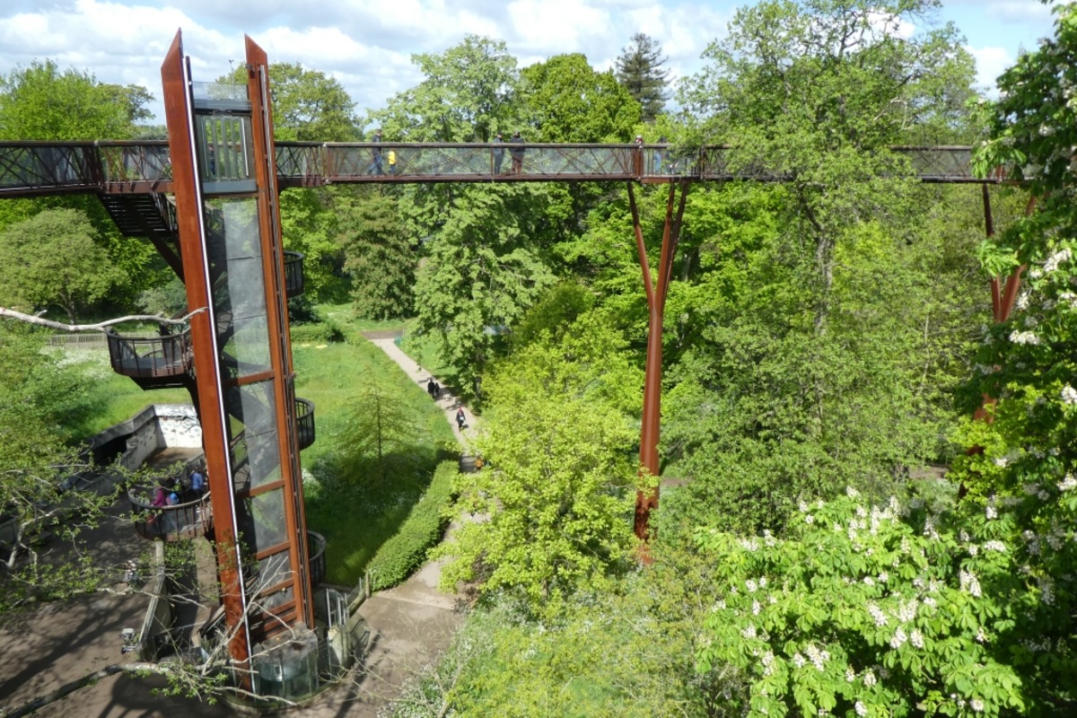 Kew Gardens Guide: Review, Opening Times, Tickets, What's On