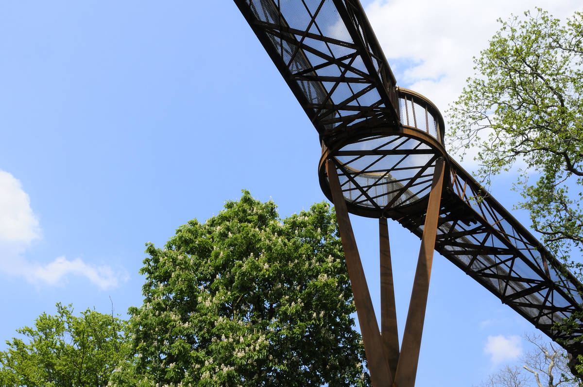 Discover Local Wildlife On This Sky-High Nature Trail In London